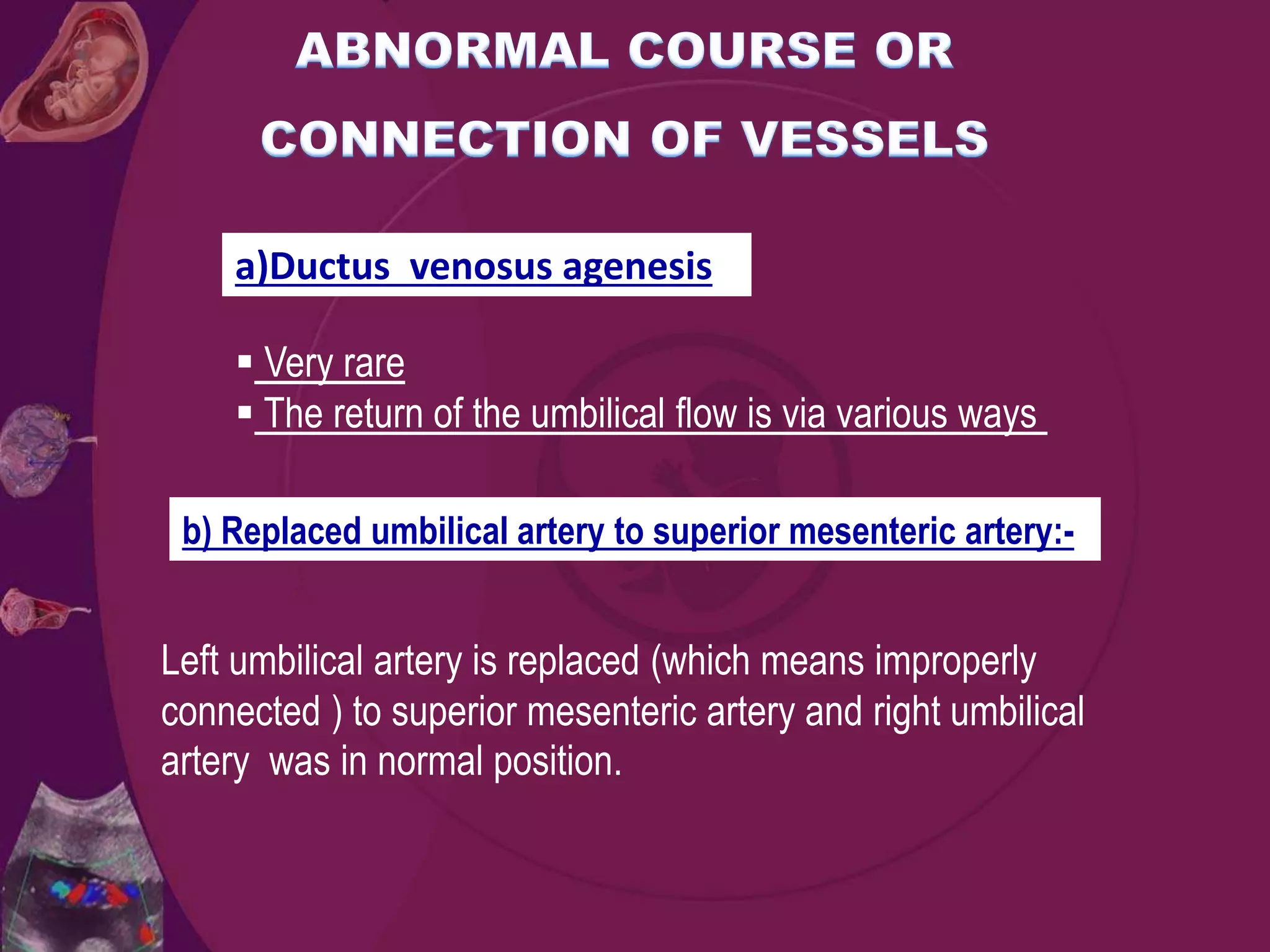 Umblical cord presentation | PPTX