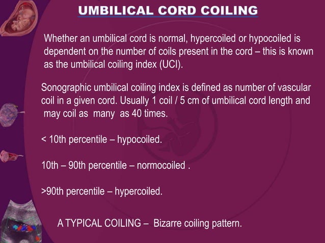 Umblical cord presentation | PPTX