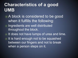 UMB | PPTX | Agriculture | Industries