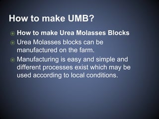 Umb urea molasses block | PPTX