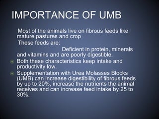 Umb urea molasses block | PPTX