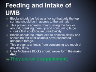 Umb urea molasses block | PPTX