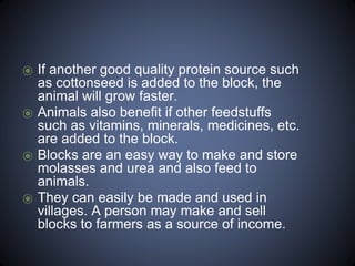 Umb urea molasses block | PPTX