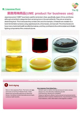 Ume e catalogue vol2 | PDF | Grocery Shopping | Shopping