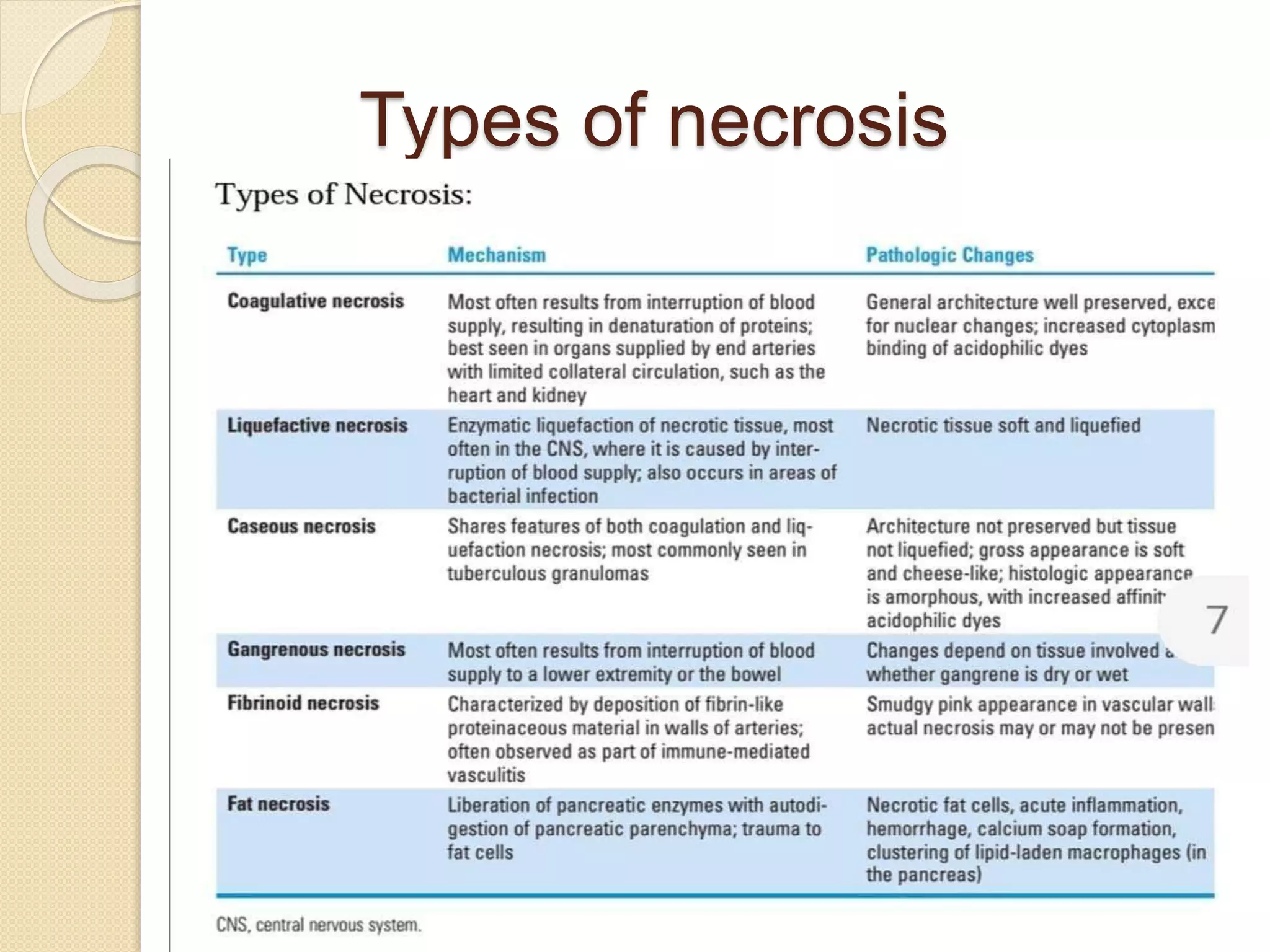 types of cell death .pptx