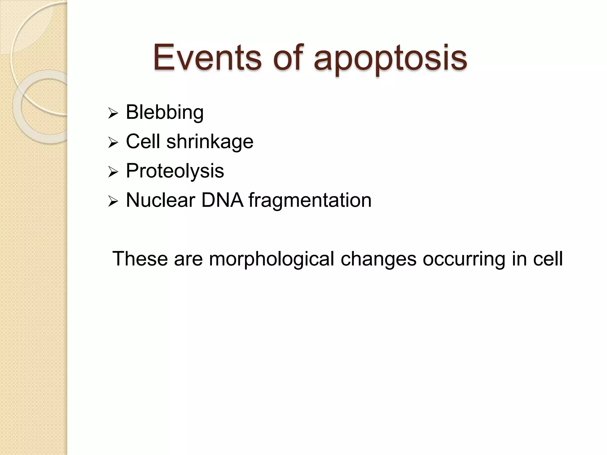 types of cell death .pptx