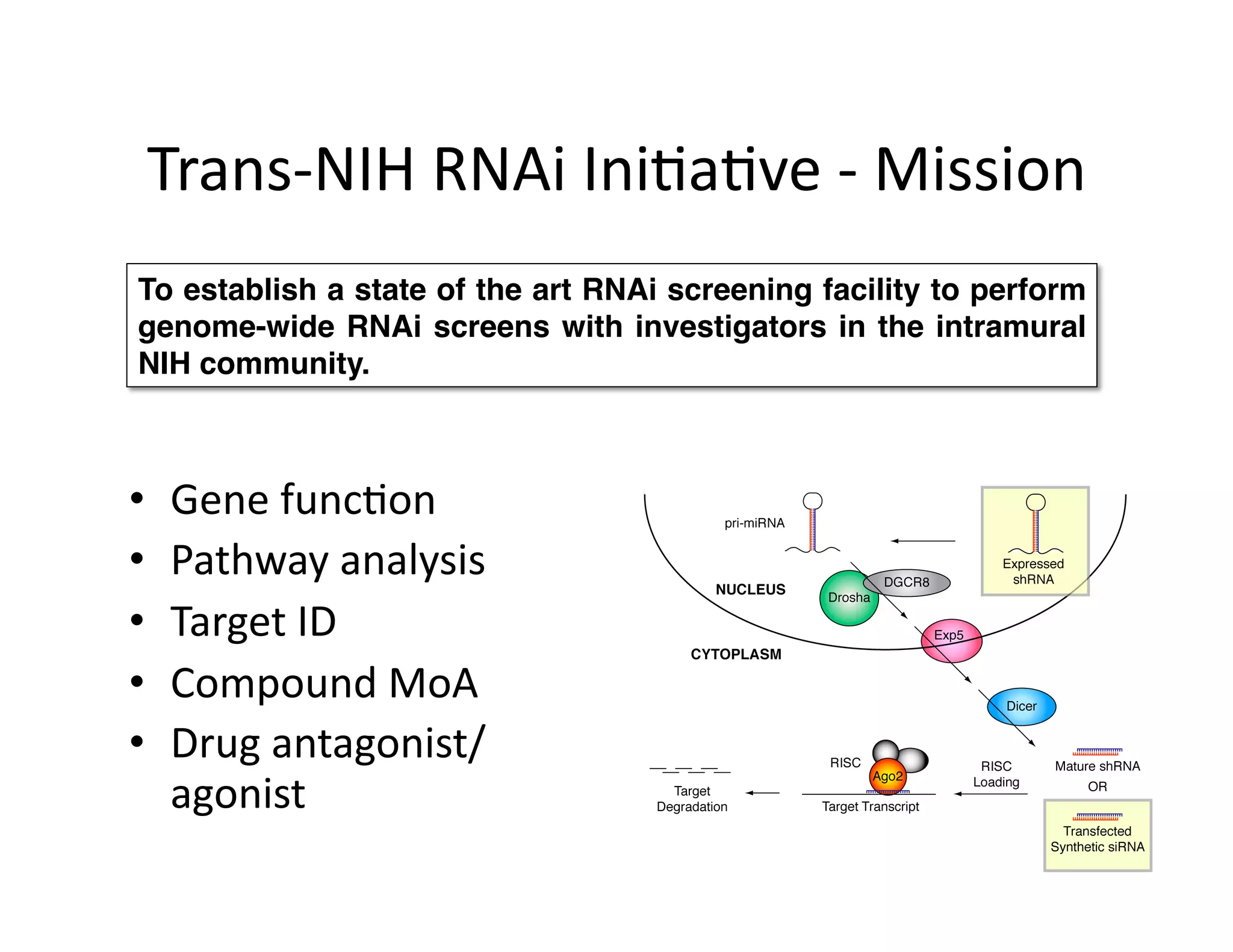 Joining the Dots: Integrating High Throughput Small Molecule and RNAi ...