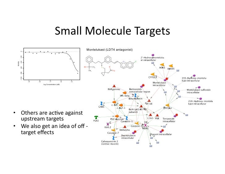 Joining The Dots Integrating High Throughput Small Molecule And Rnai…