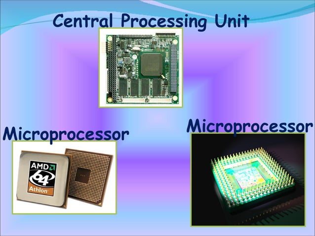 Miller's Classification Station | PPT