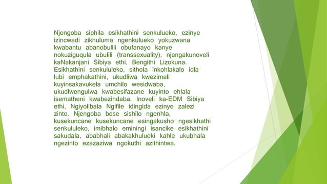 Umlando wemibhalo yesi zulu | PPTX | World/International Music | Music