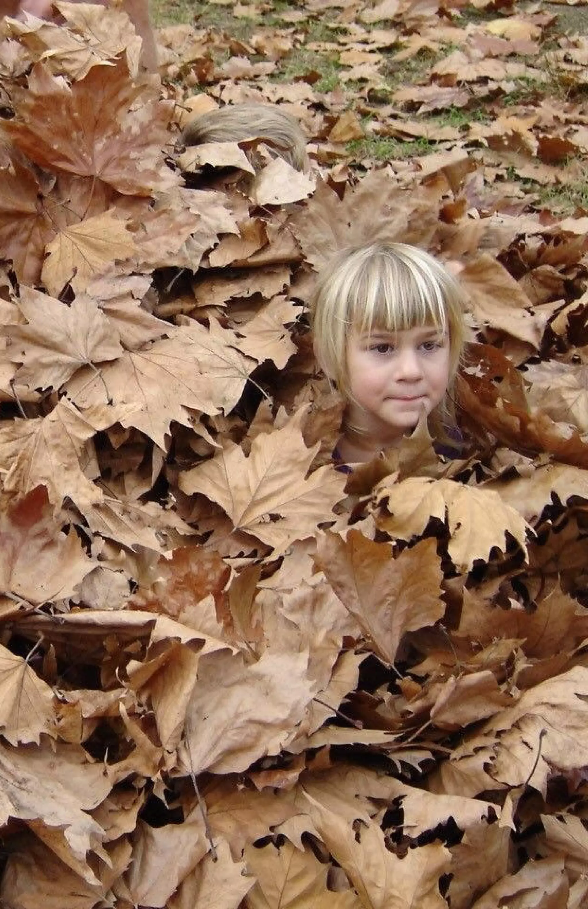 Umlaut Literary Journal vol. 15 | PDF