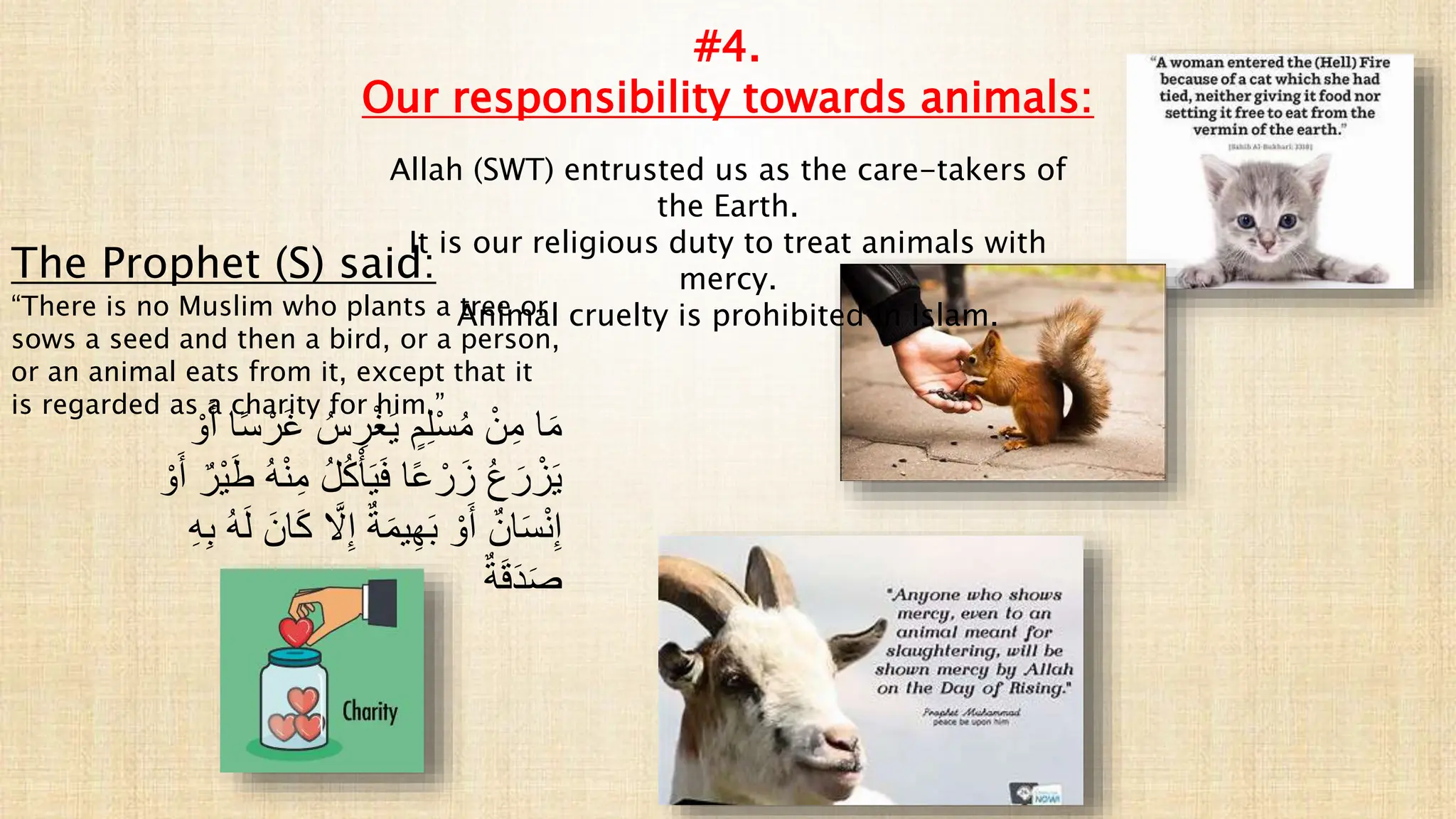 Animals in the Quran | PPTX