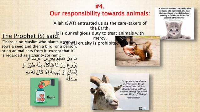 Animals in the Quran | PPTX | Beekeeping | Hobbies & Interests