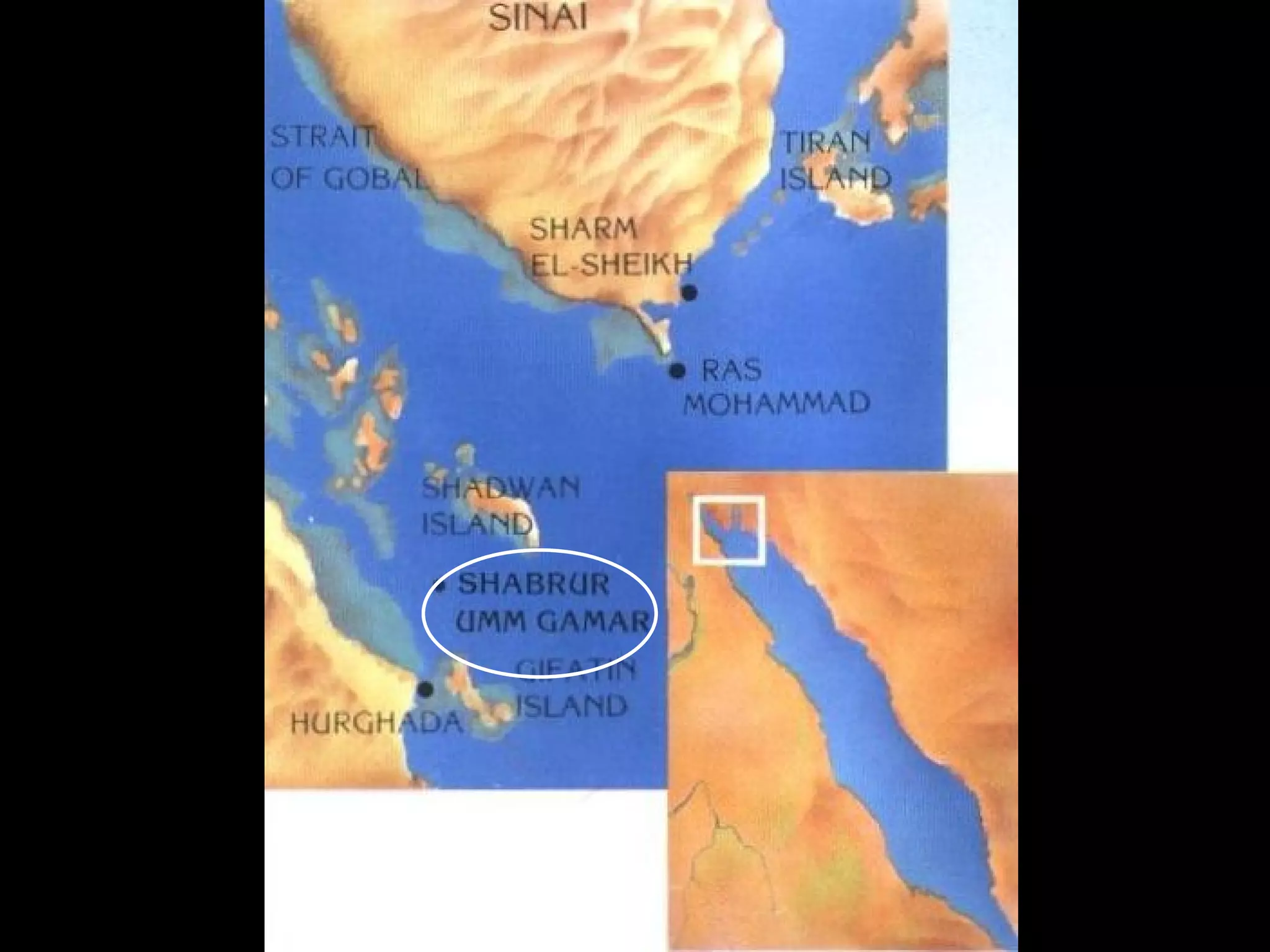 Umm gamar island Dive Briefing | PPT