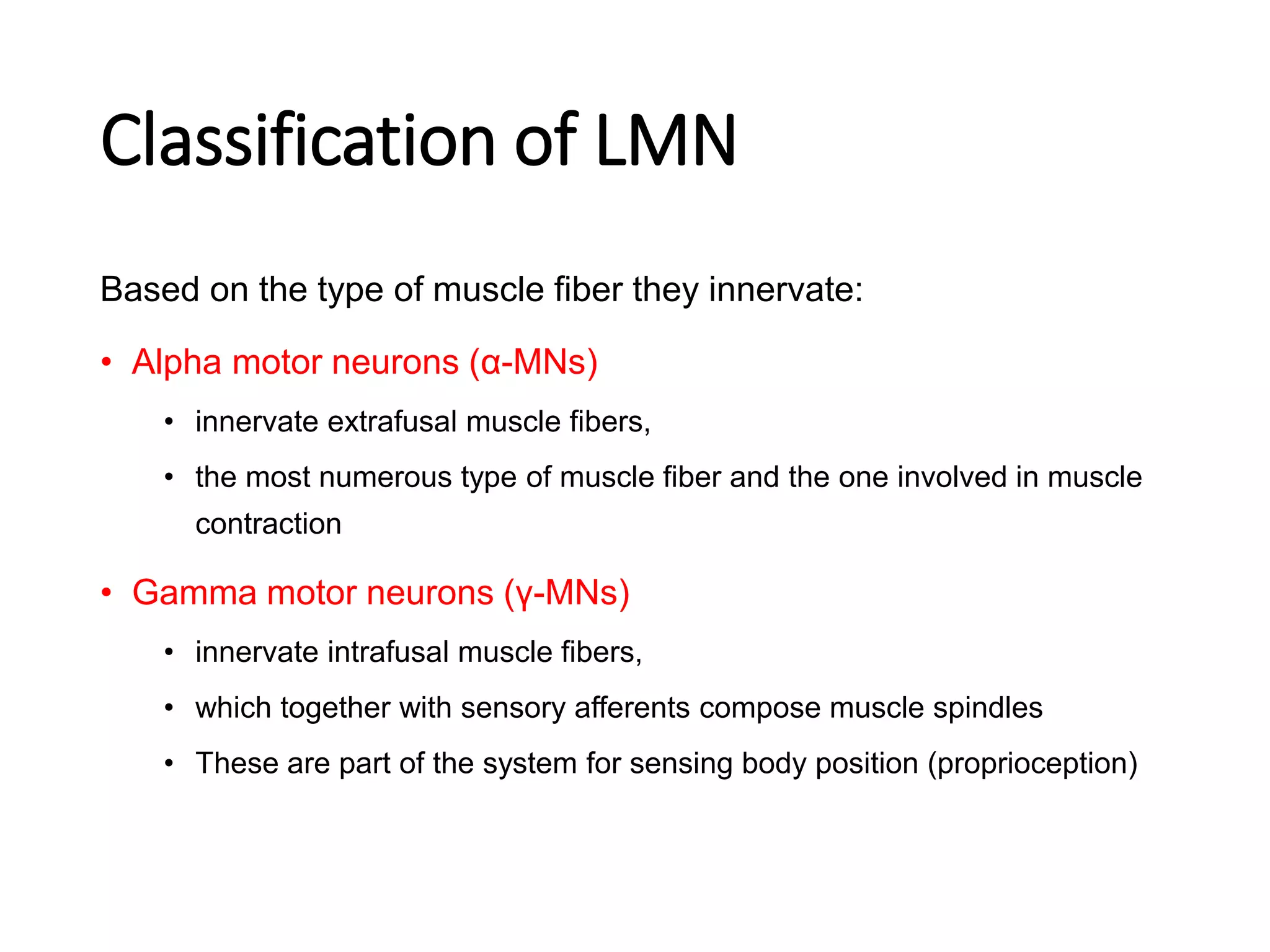 Upper Motor Neuron, Lower Motor Neuron and Brown Sequard Syndrome | PPTX