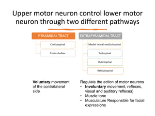 Upper Motor Neuron, Lower Motor Neuron and Brown Sequard Syndrome | PPTX
