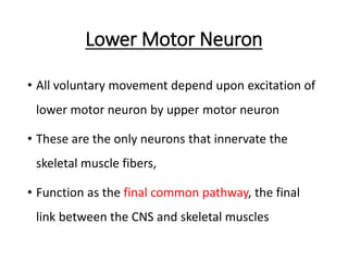 Upper Motor Neuron, Lower Motor Neuron and Brown Sequard Syndrome | PPTX