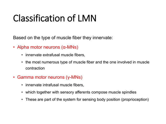 Upper Motor Neuron, Lower Motor Neuron and Brown Sequard Syndrome ...