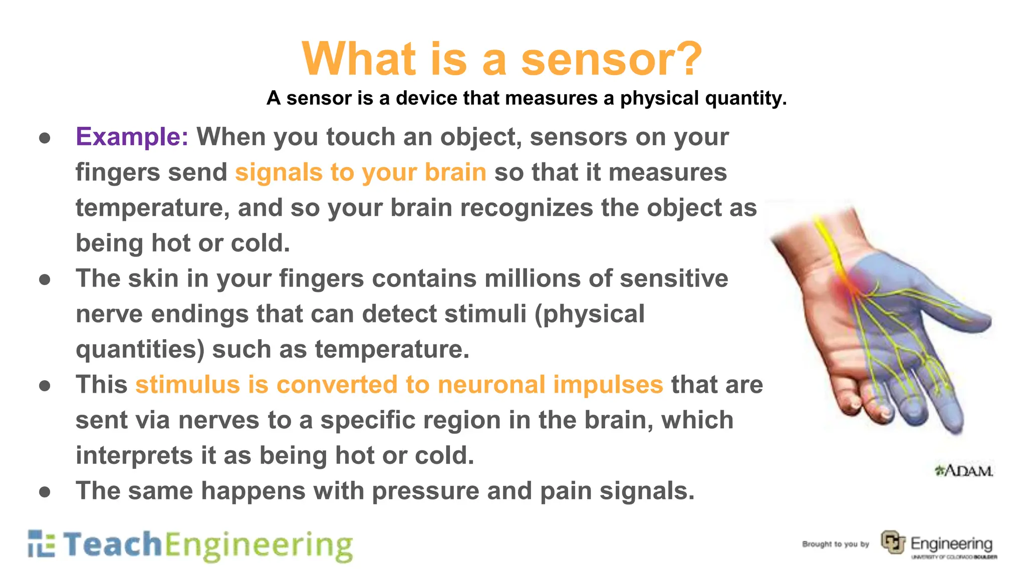 Umosensorsworklesson01presentationv4tedlesppptx