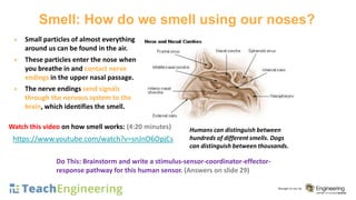 umo_sensorswork_lesson01_presentation_v4_tedl_esp.pptx