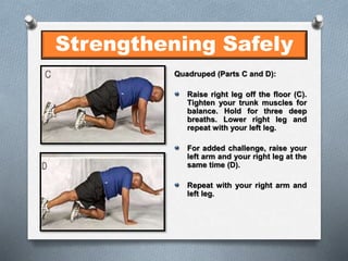 Baseball and Softball Officials' Offseason Strengthening Exercises | PPTX