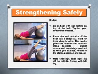 Baseball and Softball Officials' Offseason Strengthening Exercises | PPTX