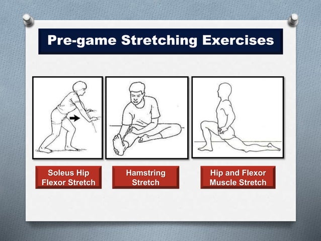 Umpire Preseason Conditioning.Stretching and Warmup Exercises | PPTX | Physical Therapy | Wellness