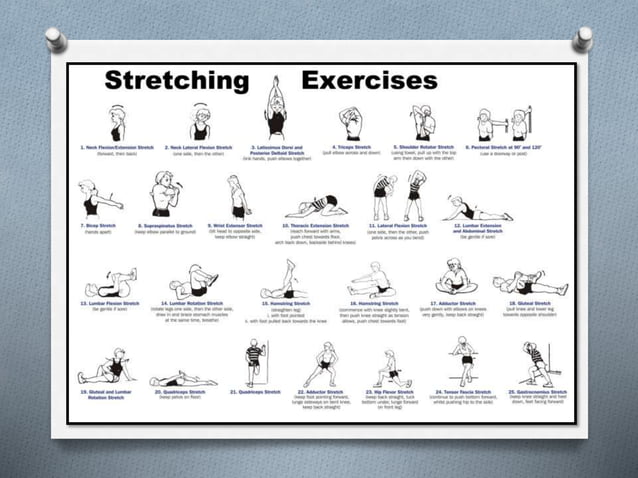 Umpire Preseason Conditioning.Stretching and Warmup Exercises | PPTX | Physical Therapy | Wellness