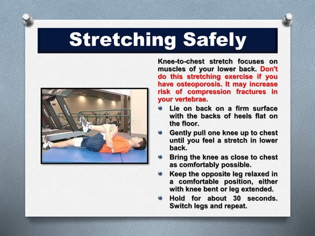 Baseball and Softball Official's Offseason Stretching Exercises | PPTX | Physical Therapy | Wellness