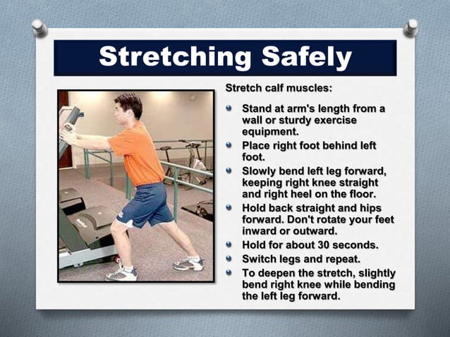 Baseball and Softball Official's Offseason Stretching Exercises | PPTX | Physical Therapy | Wellness
