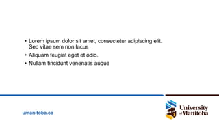 um_powerpoint_template_design_wide_web.pptx