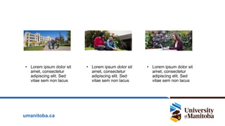 um_powerpoint_template_design_wide_web.pptx