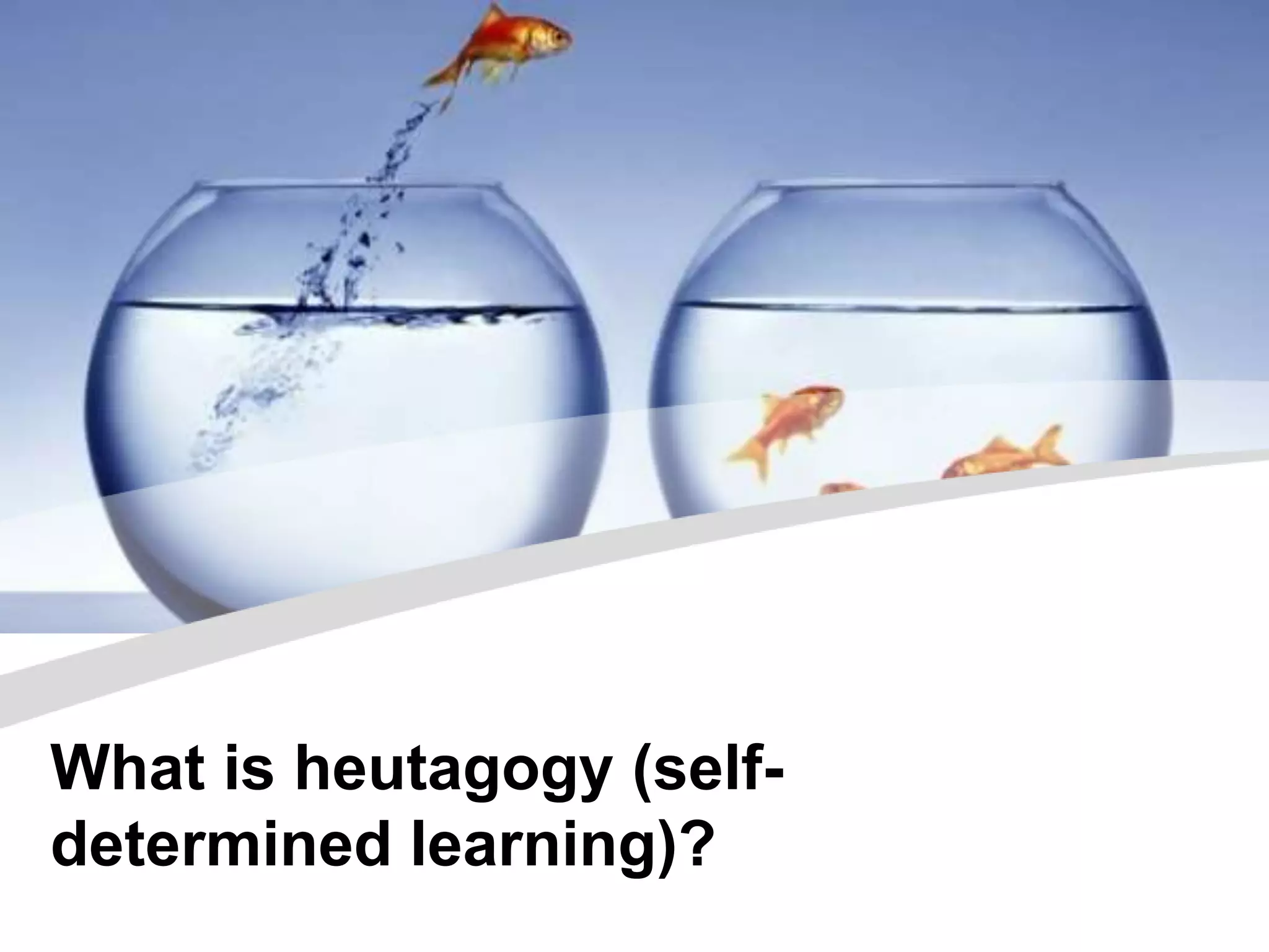 What is Heutagogy? And And how can we use it to help develop self ...