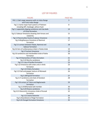 Geological field report_on_salt_range_333 | PDF