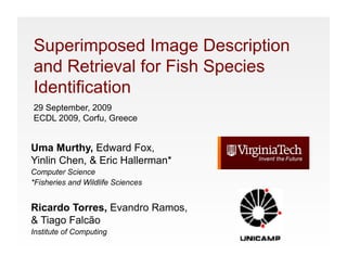 SuperIDR - ECDL 2009 | PDF