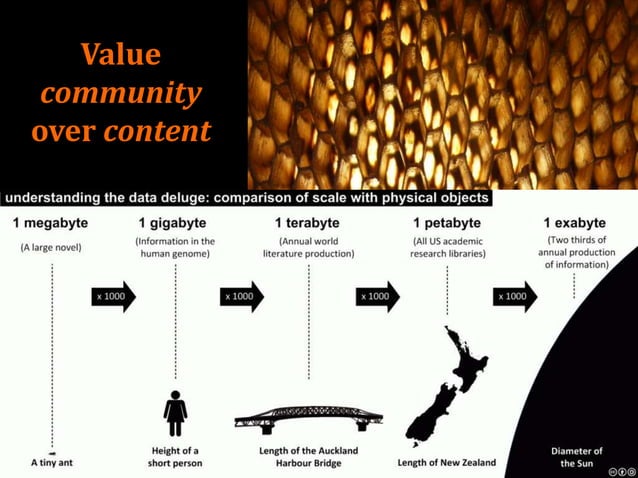 Moving Beyond the Textbook | PPTX