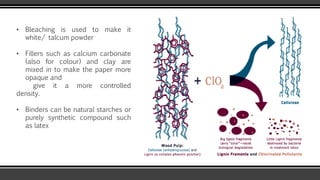 Paper production (non-conventional sources) | PPTX
