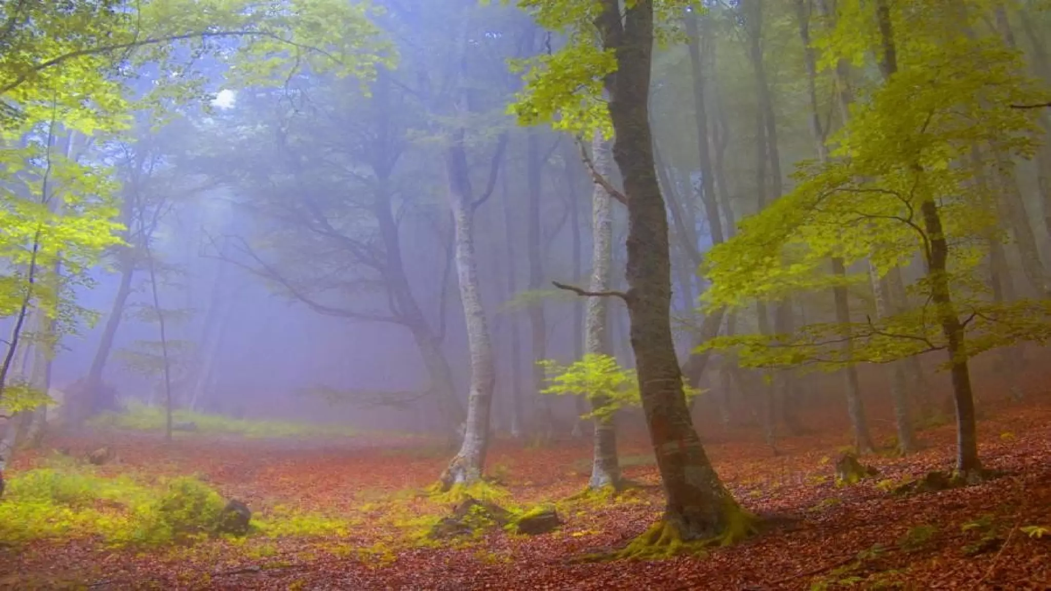 Beautiful Nature | PPS