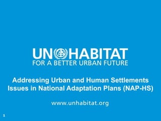 2.4 Integrating human settlements in NAPs | PPT