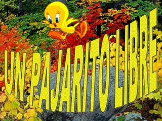 Un Pajarito Libre | PPS