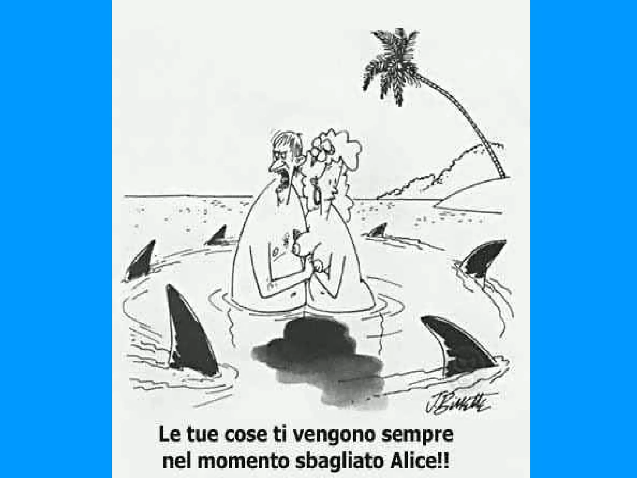 Vignette | PPS