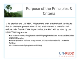 Un redd-social and environmental principles | PPT