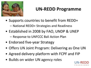 Un redd presentation | PDF | Political Issues & policy | Politics