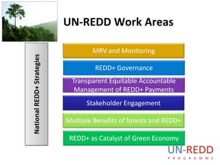 Un redd presentation | PDF | Political Issues & policy | Politics
