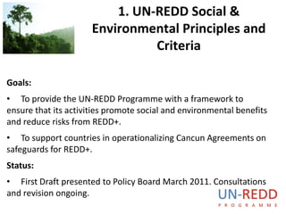 Un redd presentation | PDF | Political Issues & policy | Politics