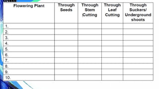 other_modes_of_reproduction_in_plants.pptx