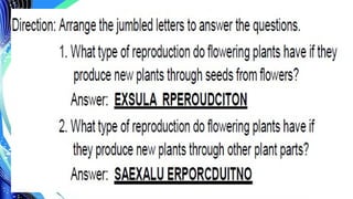 other_modes_of_reproduction_in_plants.pptx