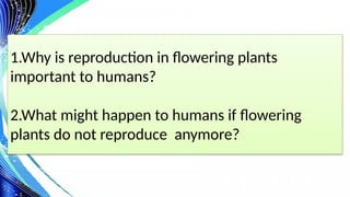 other_modes_of_reproduction_in_plants.pptx
