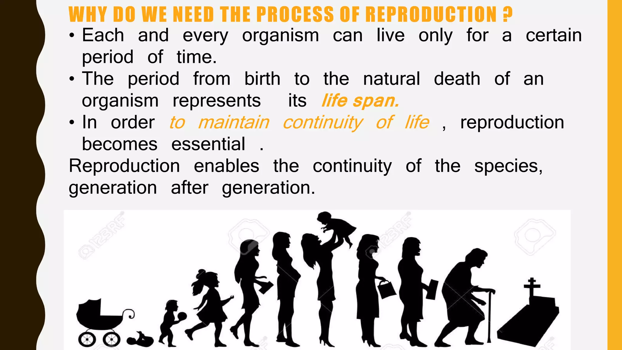 Introduction to reproduction in organisms class 12 cbse | PPTX