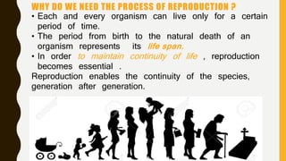 Introduction to reproduction in organisms class 12 cbse | PPTX